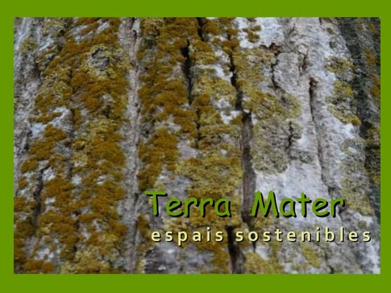 Babus song vocabulary | PPT