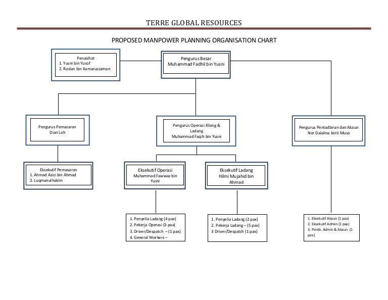 Proposed manpower planning organisation chart