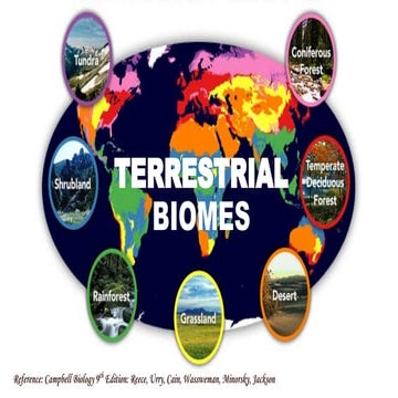 TERRESTRIAL-BIOME-TYPES-AND-IMPACTS-.pdf