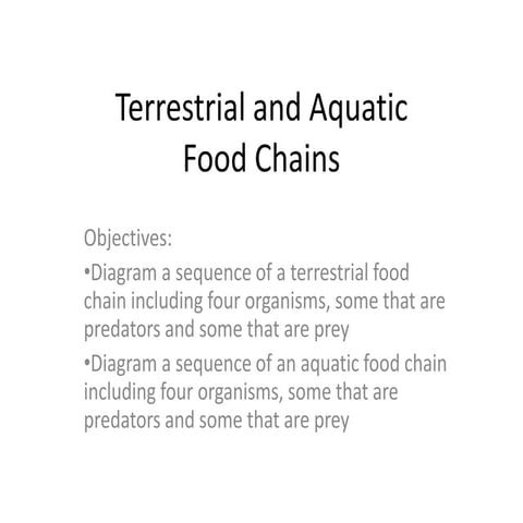 Terrestrial and Aquatic Food Chains | PPTX