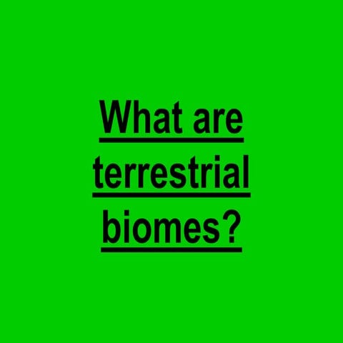 Terrestrial biomes | PPTX