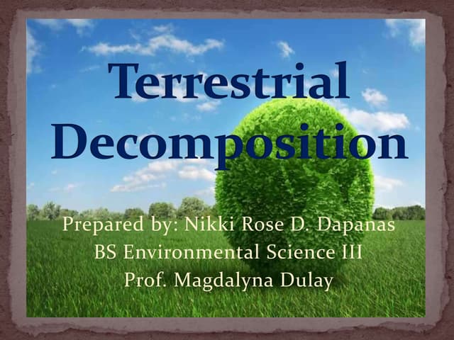 Litter decomposition and nutrient dynamics | PPTX