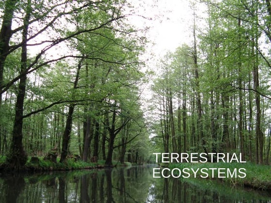 Ecosystems and biomes | PPTX