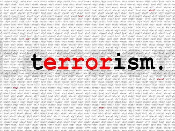 Terrorism causes, effects, and solutions | PPT