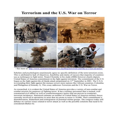 War on Terror by U.S Government | PPTX