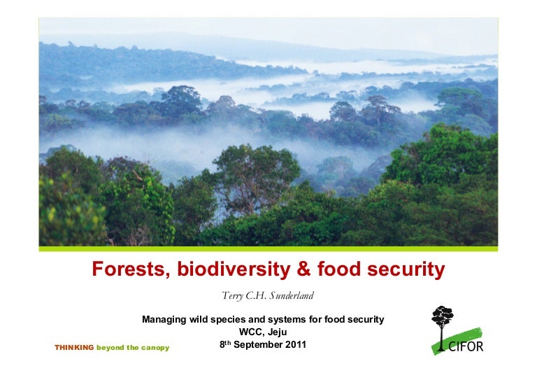 Forests, biodiversity and food security