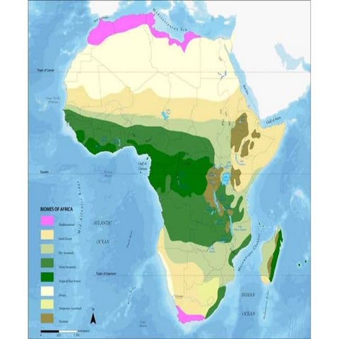 IHA Congress 2011 - Session 4c - Terry Moss | PPTX