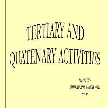 Tertiary and quatenary activities (1) | PPTX