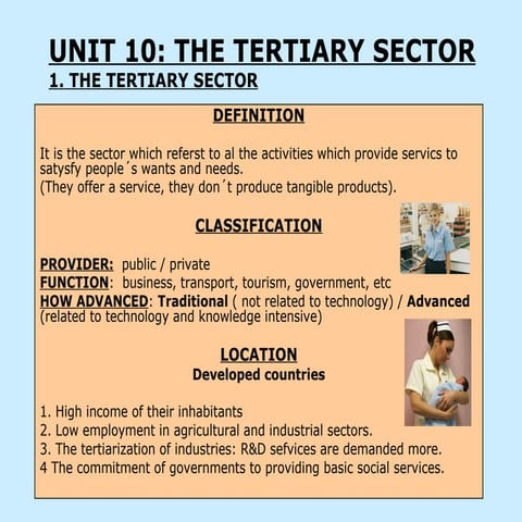 Tertiary sector | PPT