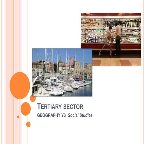 Tertiary sector | PPTX
