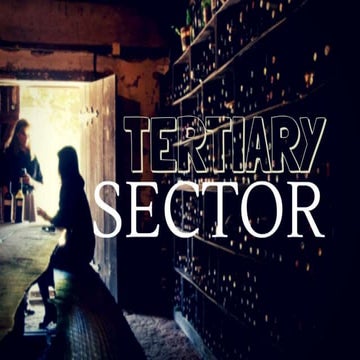 Tertiary sector pp | PPSX