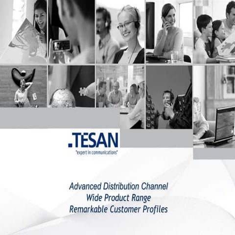 Tesan Company Profile | PPTX | Sales | Business