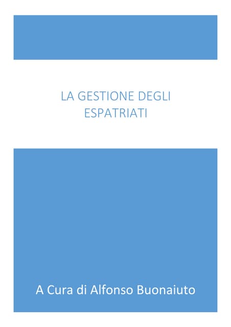 QV11 Designer_Certificate_Saranya | PDF