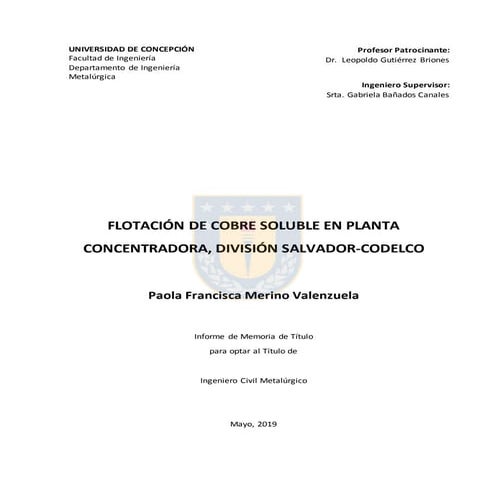 Tesis flotacion de_cobre_soluble_en_planta_concentradora.image.marked | PDF