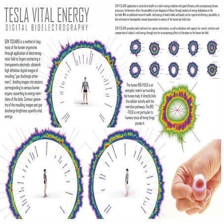 GDV TeslaBio Digital Bioelectrography | PDF | Physics | Science