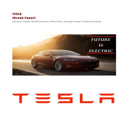 IMC Plan - Tesla | PDF