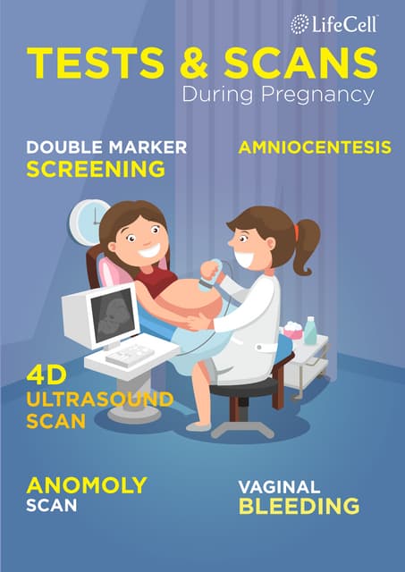4D scans - your questions answered | PDF | Pregnancy | Reproductive Health
