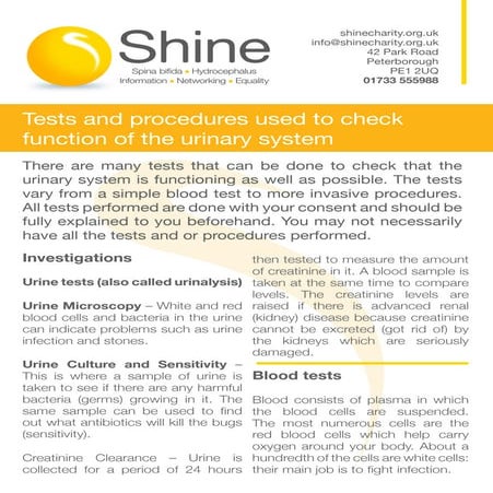 5 Abbreviations Regarding Urinary System | PPTX