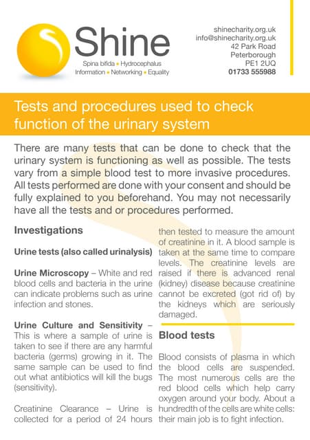 5 Abbreviations Regarding Urinary System | PPTX