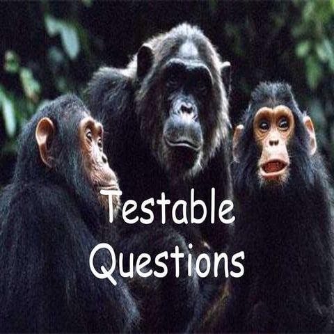 Testable Questions | PPTX