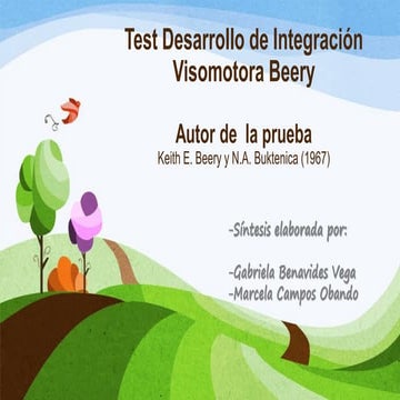 Test beery i.v.m. | PDF