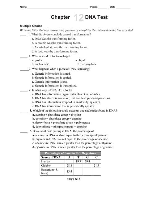 Chapter14worksheets | DOC | Genetics | Science