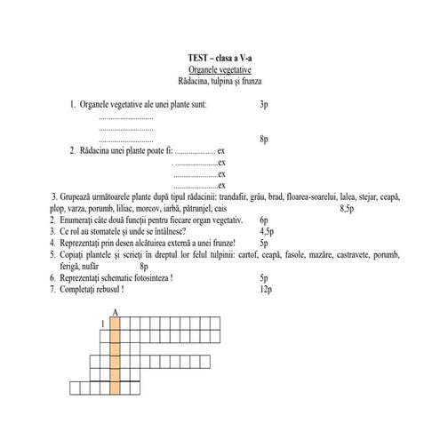 test clasa a V a.docx