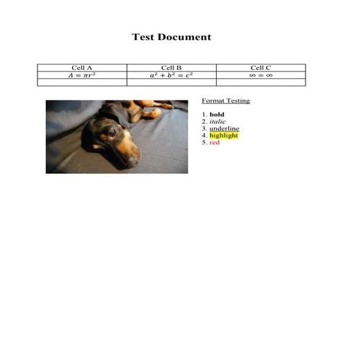 Test document | PDF