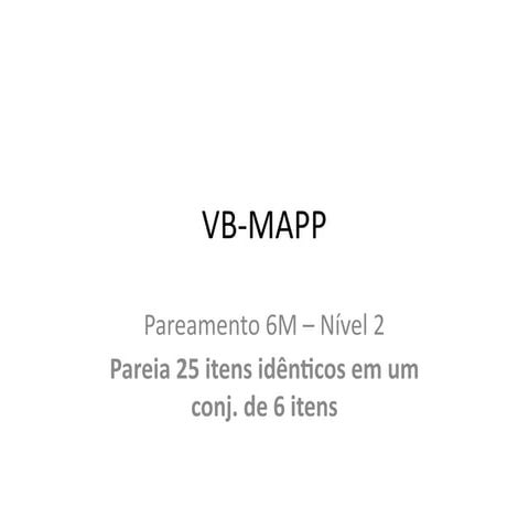 VB-MAPP Level 2: Matching 25 Identical Items from a Set of 6 | PPTX