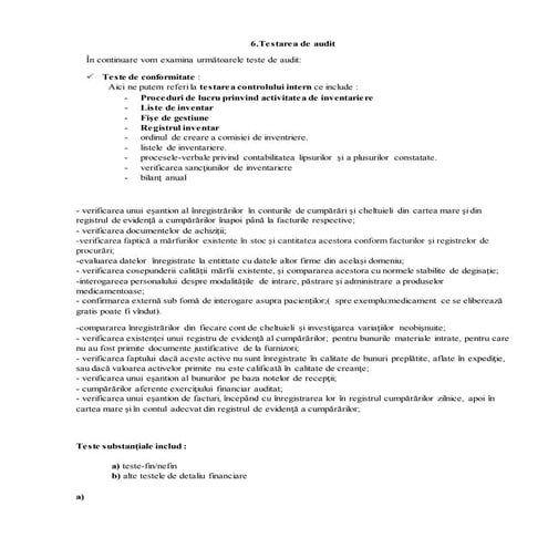 Raport de audit intern | DOCX