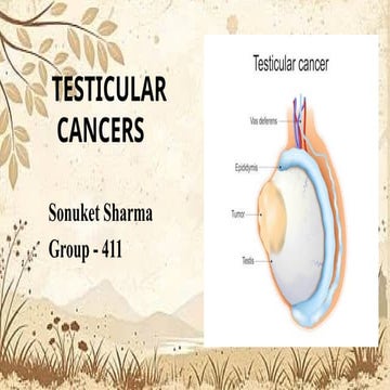 Pathology of testis | PPT
