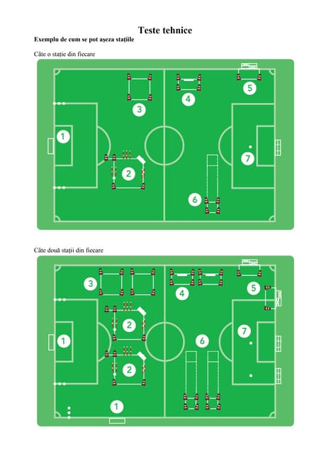 LAMBUTCHI CALIN CLAUDIU PROPUNERI JOCURI | DOCX