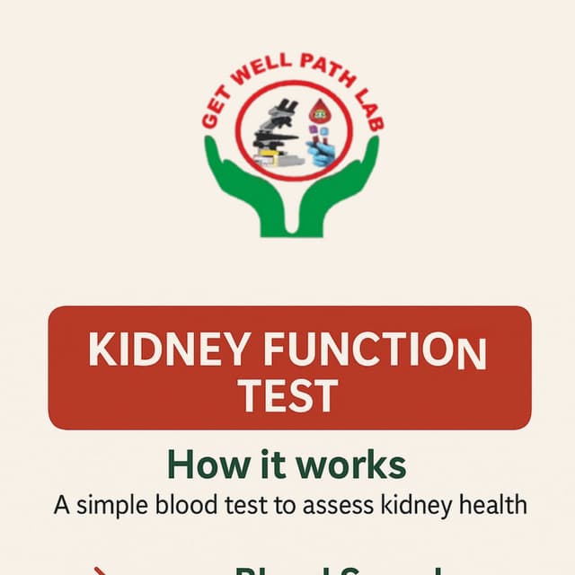 Test for Kidney Function | Get Well Path Lab | PPTX