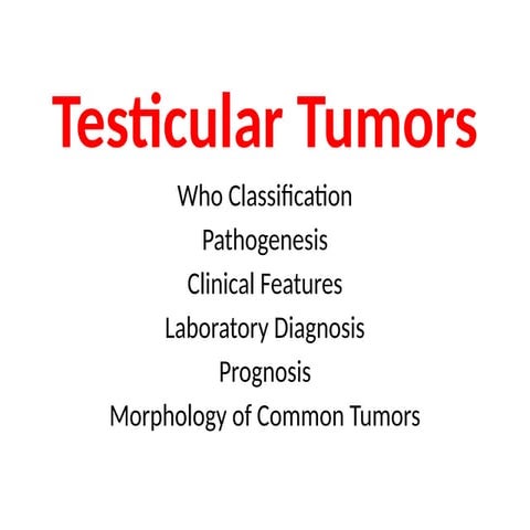 Pathology of testis | PPT
