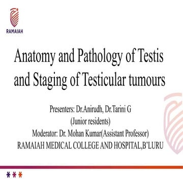Testicular Tumors ,Ramaiah medical collegeDR.TG,DR.AK-2.pdf
