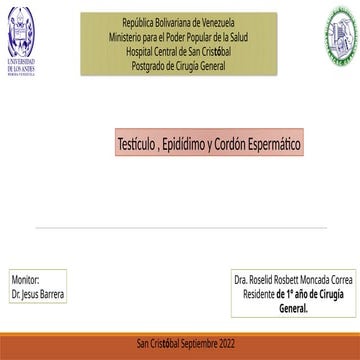 testiculo epididimo y cordon espermatico.pptx
