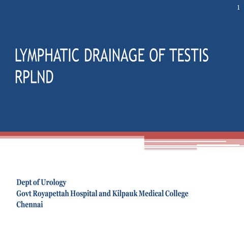 Testis carcinoma- management- lymphatic drainage and rplnd | PDF
