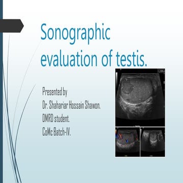 testis presentation.pptx by dr. shahariar hossain | PPTX