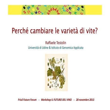 Future Forum 2013: Raffaele Testolin | PPT