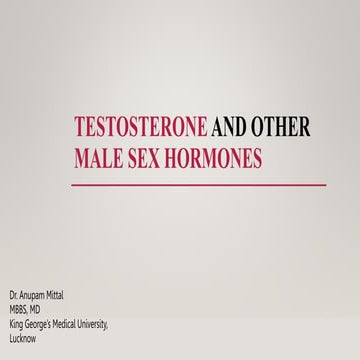 Testosterone And Other Male Sex Hormones Ppt