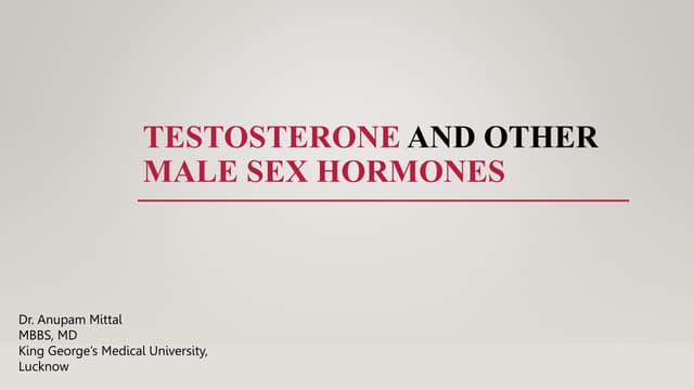 Testosterone And Other Male Sex Hormones Ppt