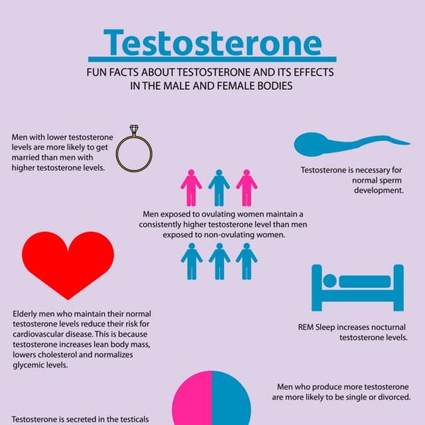 Southern Sarms Clinical Guideline Of Testosterone Treatment In Adult Men