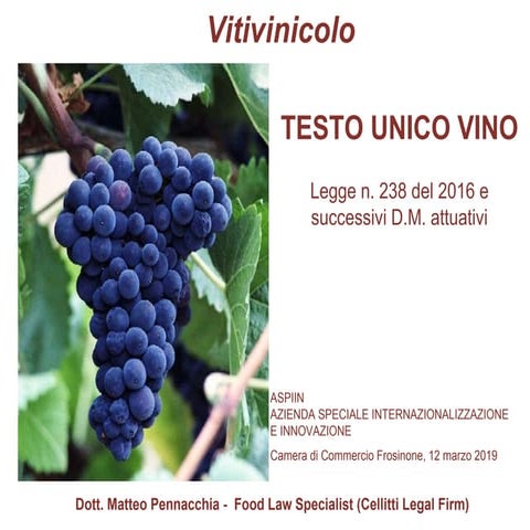 Testo Unico Vino ed i primi DM attuativi | PPTX