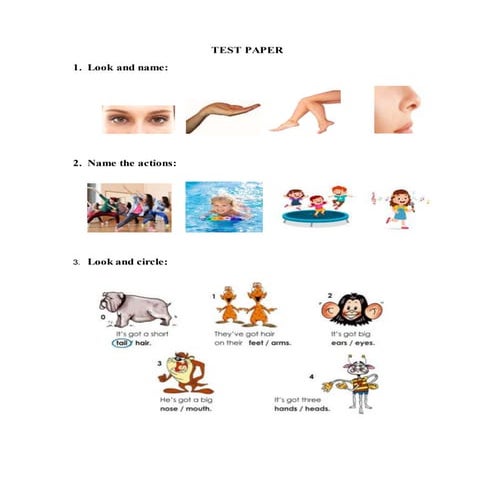 TEST PAPER cls3.docx