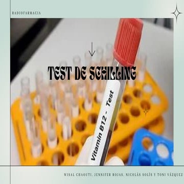 test schilling.pdf