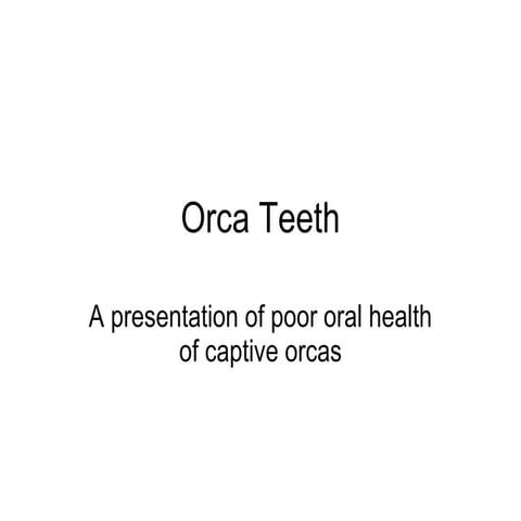 Orca Teeth | PPT