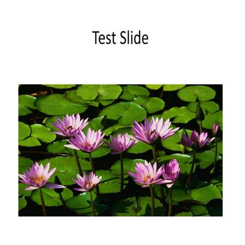 Test presentation | PPTX