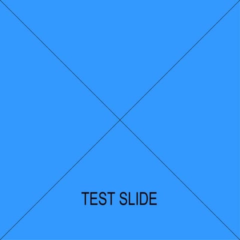 Test slides | PPT