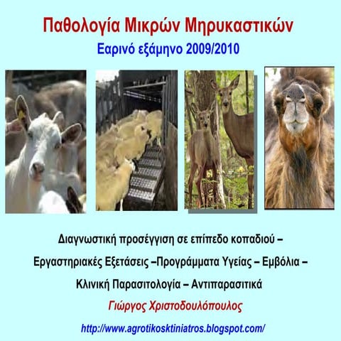 Μεθοδολογία διαγνωστικής στο κοπάδι – Προγράμματα Υγείας | PPT