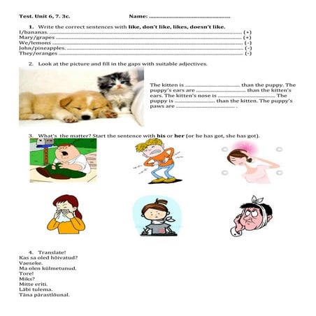 Test unit6 7docx | DOCX | Pets